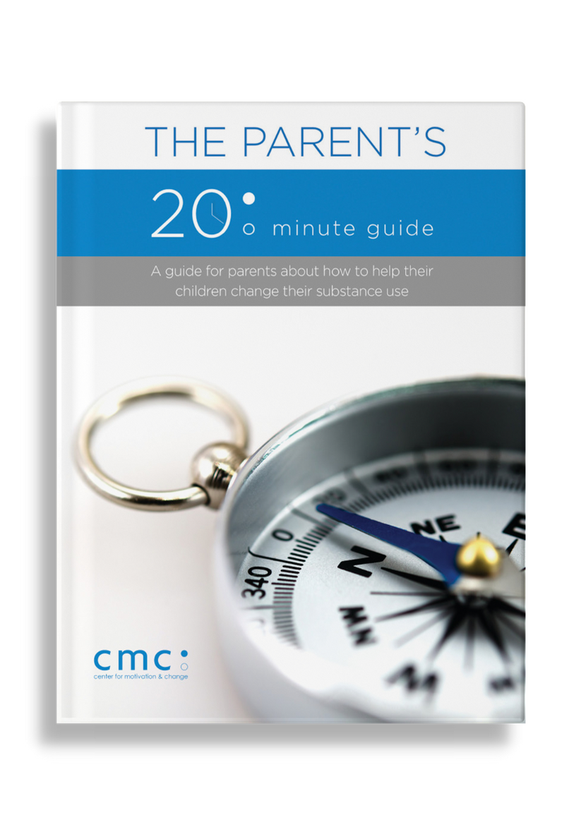 The Parent's 20 Minute Guide (Print Edition)